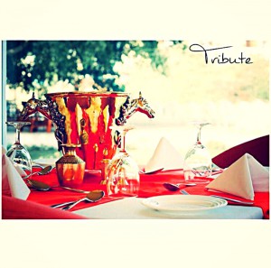 Lake View Restaurant In Udaipur – Tribute Restaurant