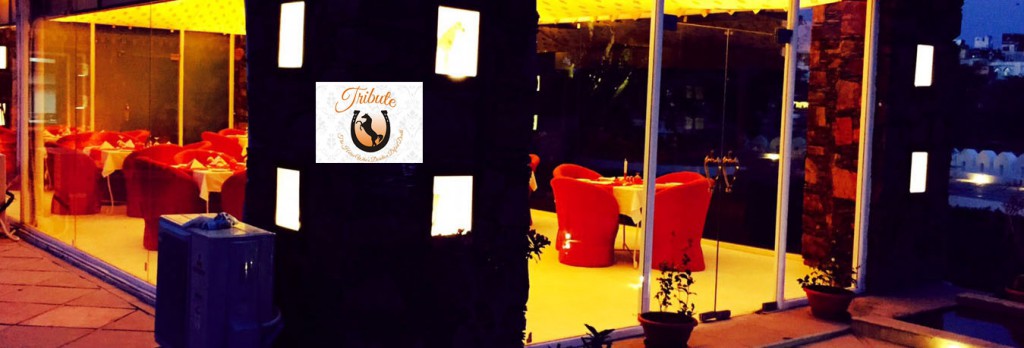 Best Restaurant in Udaipur, Lakeside Fine Dining Restaurants